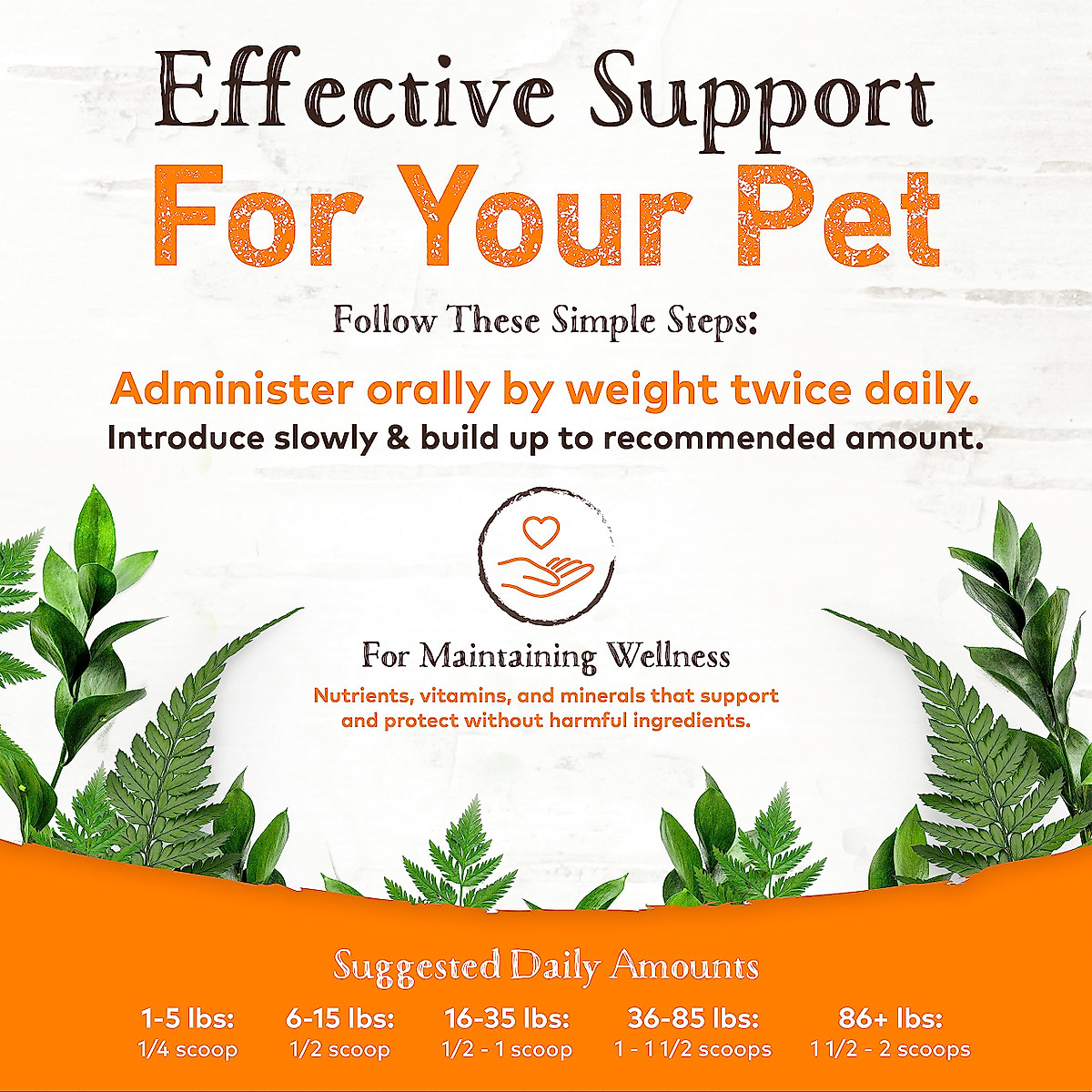 Earth Animal Stop Eating Stool Nutritional Supplement for Dogs & Cats, 8 oz. Container