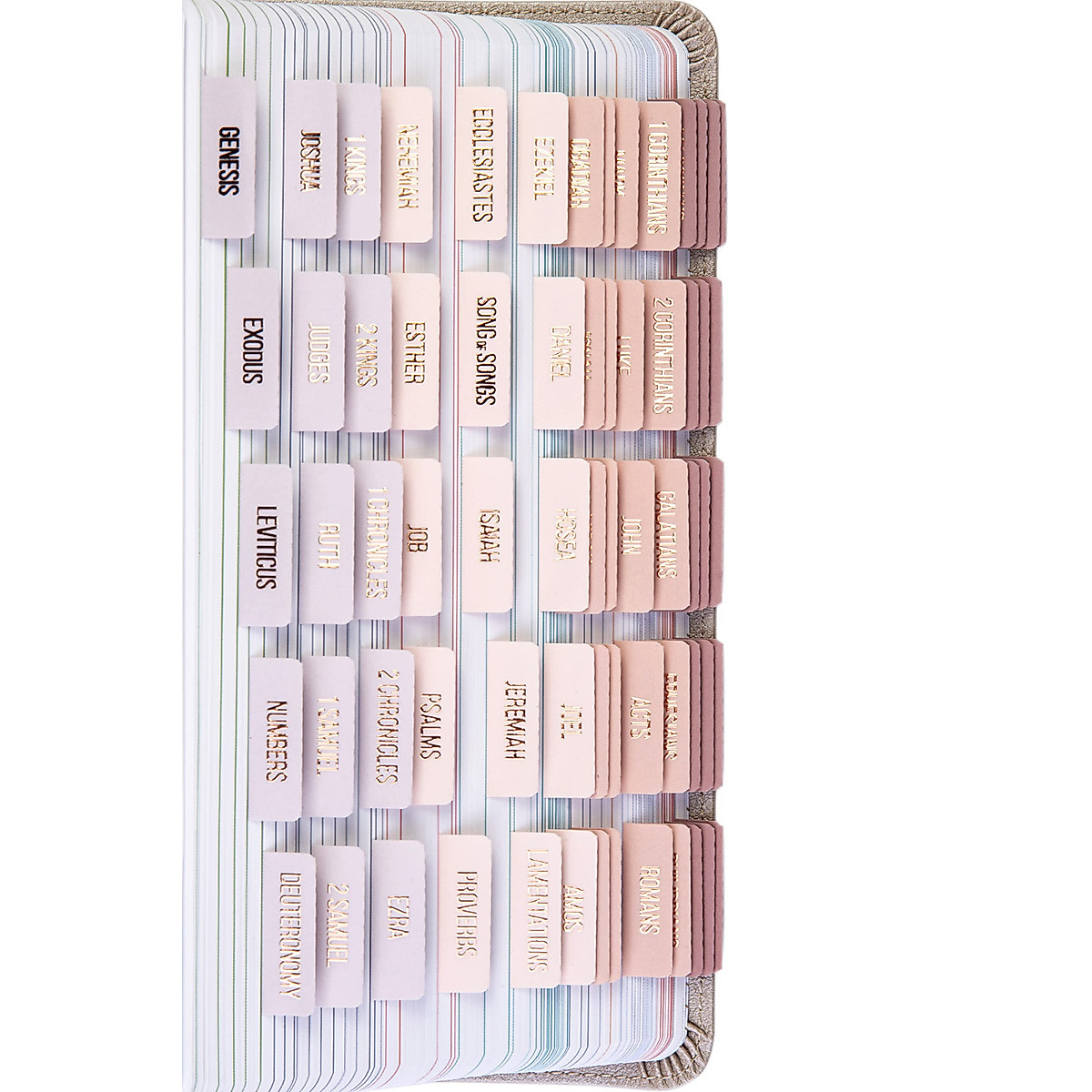 DiverseBee Laminated Bible Tabs (Rose Gold Embossed Lettering), Bible Journaling Supplies, Bible Book Tabs, Christian Gift, 66 Bible Tabs Old and New Testament, Includes 11 Blank Tabs (Pearl)