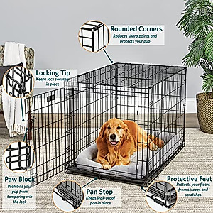 MidWest Homes for Pets Large Dog Crate | MidWest Life Stages Folding Metal Dog Crate | Divider Panel, Floor Protecting Feet, Leak-Proof Dog Pan | 42L x 28W x 31H Inches, Large Dog