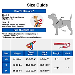 VETRESKA Dog Harness and Leash Set, No-Pull Puppy Harness for Walking and Training, Easy Walk Dog Harness for Small Medium Dogs, Adjustable, Take Control & Anti-Twist Pet Lead Combo (MoMA Red, S)