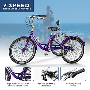 Barbella Adult Tricycles, 7 Speed Adult Trikes 20/24/26 inch 3 Wheel Bikes, Cruise Bike with Basket for Seniors, Women, Men for Recreation, Shopping, Exercise, Multiple Colors