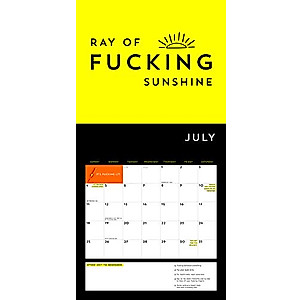 A F*cking 2021 Calendar: Get Your Sh*t Together This Year - Includes Stickers! (Funny Monthly Calendar, White Elephant Gag Gift for Adults)
