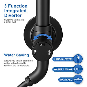 Tearel 9 Inches Rainfall Shower Head and Handheld Showerhead Combo Shower System with Slide Bar, Matte Black