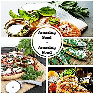 Culinary Herb Seeds Variety Pack - Outdoor & Indoor Herb Garden Kit - 10 Non-GMO Herb Garden Seeds for Planting & Book - Basil Seeds, Dill Seeds, Rosemary Seeds, Thyme Seeds, & More