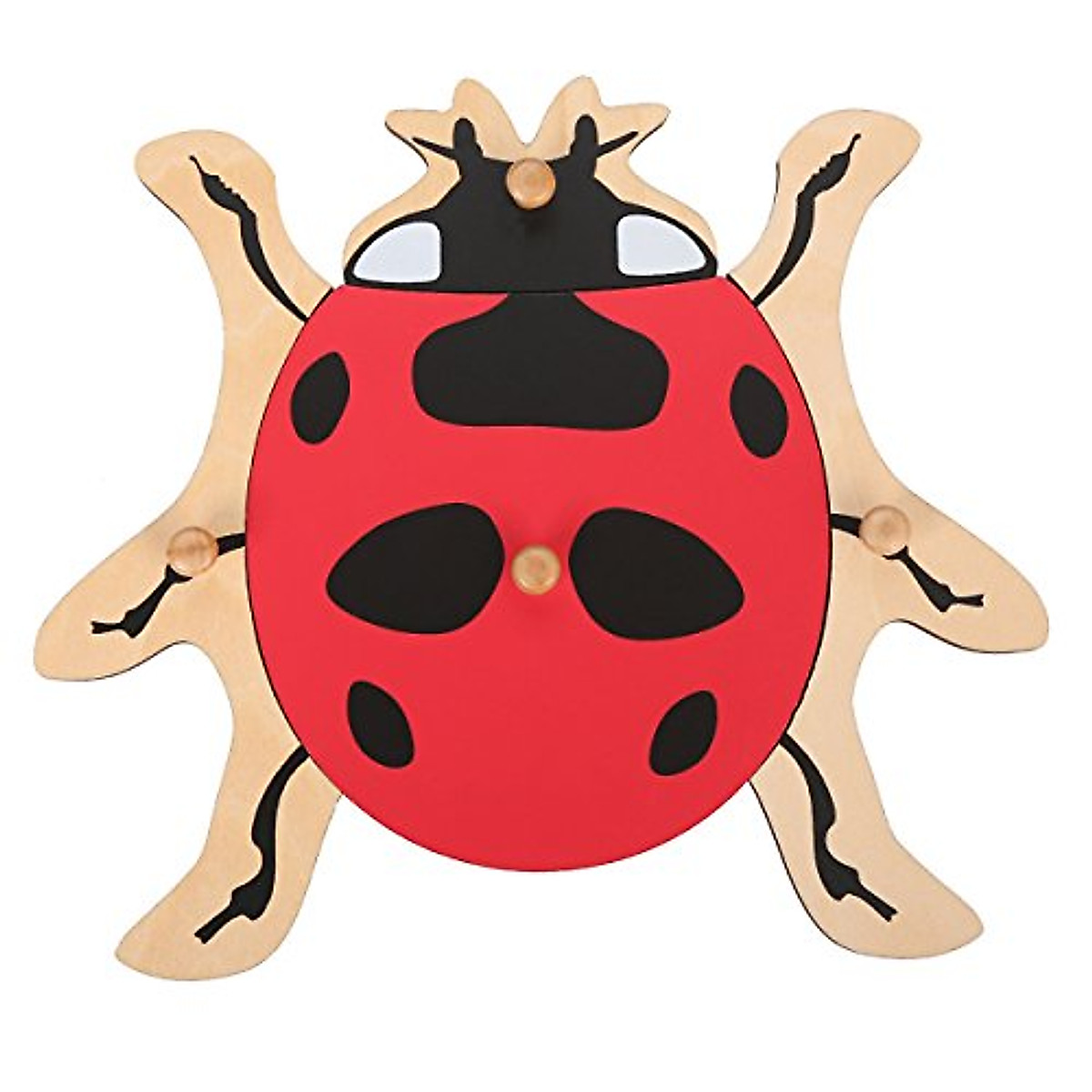 LEADER JOY Montessori Nature Materials Ladybug Puzzle for Early Preschool Learning Toy