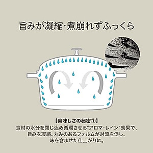 Staub Wa-NABE 40501-478 Wanabe Campagne, L, 7.9 inches (20 cm), Double Handed, Cast Enamel, Pot, Rice Cooking, 3 Cups, Induction Compatible, Compatible