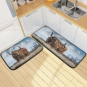 Highland Cow Horns Meadow Kitchen Rug Set of 2 Farm Animal Floor Runner Mat Comfort Non Skid Bath Carpet Standing Mat Washable for Living Room Laundry Office