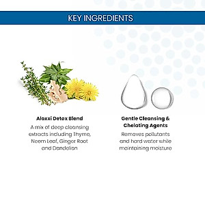 ALOXXI Clarifying Shampoo for Color Treated Hair - Removes Residue and Build-Up from Hard Water - Sulfate & Paraben Free Shampoo - Detox Shampoo for Deep Cleansing, 10.1 Fl Oz