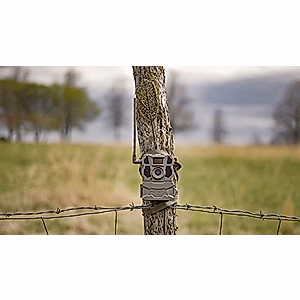 TACTACAM Reveal X Gen 2.0 LTE Cellular Trail Camera (2 PK) + Two 32GB SD Cards