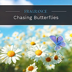 Candle-Lite Everday Chasing Butterflies Scented Candle, 18 oz. Aromatherapy Candle, Off-White