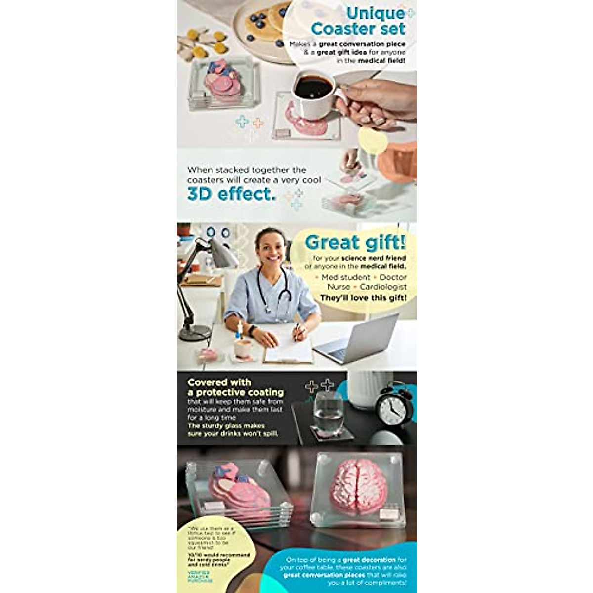 Anatomic Heart Specimen Coasters (Set of 6) - 3D Brain Coaster Set Also Available. Human Anatomy Gifts Medical Student Gifts CNA Gifts for Women Best Gifts for Medical Students Thinkgeek Coasters