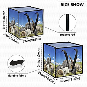 Blueangle Wild Animals Group Cube Storage Bin with Handles, 13 x 13 x 13 in, Large Collapsible Organizer Storage Basket for Home Décor（507）
