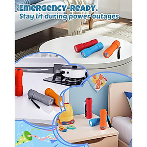 EverBrite 9-LED Flashlight 6-Pack Compact Handheld Torch Assorted Colors with Lanyard 3AAA Battery Included (Hurricane Supplies, Camping)