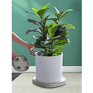 MYBAQ,Plant Tray with Wheels,Planter Caddy with Wheels,Plant Rollers for Outdoor Plants,Plant Caddy,Plant Roller Base,White,Suitable for Home, Living Room, Balcony, Patio and Garden