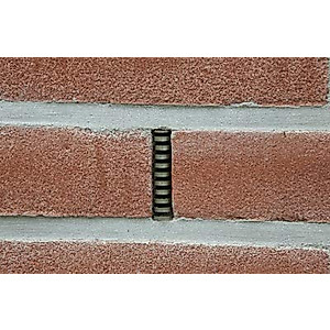 Rid-O-Mice 2.75 Inch Stainless Steel Weep Hole Cover (20, 2.75) Stops and Keeps Out Mice, Wasps, Bees, Lizards, Snakes, Scorpions and Many Insects.