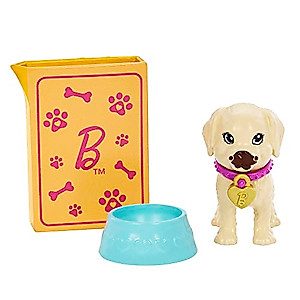 Barbie Pup Adoption Doll & Accessories Set with Color-Change, 2 Pets, Carrier & 10 Accessories, Brunette Doll in Purple Dress
