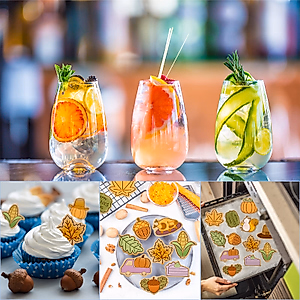 16 Pieces Fall Thanksgiving Cookie Cutters with Plunger Stamps Set Fall Biscuit Mold Maple Leaf Turkey Pumpkin 3D Cookie Stamper Plastic DIY Cookie Tools for Thanksgiving Day Baking Fondant Supplies