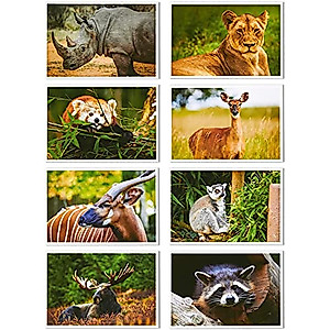 Wild Animal Kids Postcards, 20 Designs (4x6 In, 40 Pack)