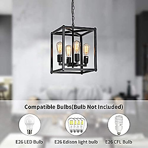 Lanhall 4-Light Farmhouse Chandelier Fixture Rustic Industrial Pendant Lighting Adjustable Height Metal Cage E26 Hanging Lights for Kitchen Island, Dining Room, Living Room, Bedroom, Foyer, Entry