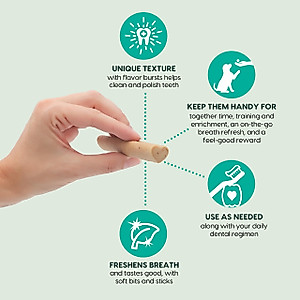 ARK NATURALS Breath Bursts Brushless Toothpaste, Dog Dental Sticks for Large Breeds, Unique Texture Helps Clean Teeth & Freshen Breath, Peppermint, 6 oz, 1 Pack