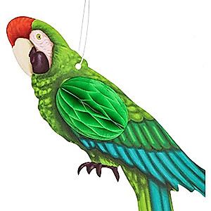 Hanging Parrot Paper Honeycomb Decorations for Tropical Birthday Party (6 Pack)