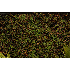 AQUA KT Terrarium Moss Background Backdrop Wall Artificial Reptile Amphibian Cage Decoration for Lizard Bearded Dragon Snake Frog Chameleon Climbing, Pack of 2