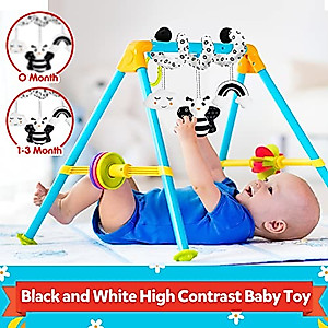 Baby Spiral Hanging Stroller and Car Seat Toys Black and White High Contrast Sensory Toy Newborn Plush Activity Toys for Bed Bassinet Crib Baby Carrier Gifts for 0 3 6 9 12 Months Girls Boys-BEE
