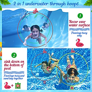 15PCS Pool Toys Games Set-5 Diving Through Swim Rings + 5 Flamingo Buoys + 5 Sand Bags for Kids 3,4,5,6,7,8,9,10,11,12 Adults-Swimming Thru Pool Hoop Accessories Water Sport Gifts (Assembly Needed)