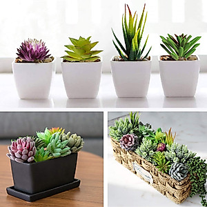 Anoak Artificial Succulent Plants - 16 Pcs Set Faux Succulents Unpotted Fake Succulent Plants, Premium Crafting DIY Floral Decor for Home Garden Office Party (High Realistic )