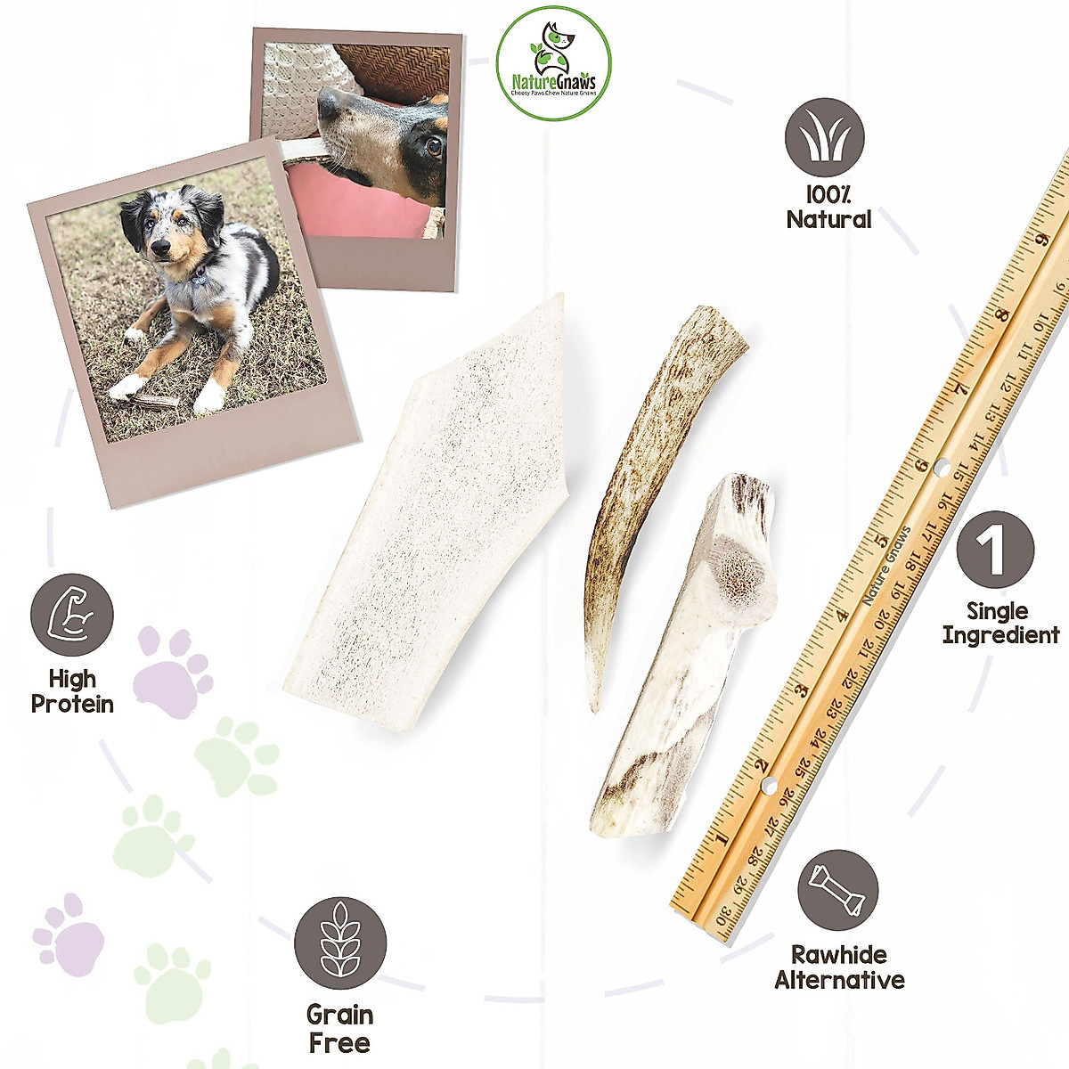 Nature Gnaws USA Elk Antlers for Dogs 5-8" (3 Count) - Mix of Split and Whole Pieces - Long Lasting for Aggressive Chewers - Natural Dog Chew Bones