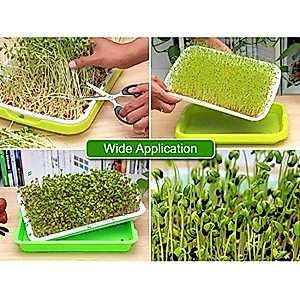 SHEING Seed Sprouter Germination Tray 5 Pack, BPA Free Nursery Healthy Wheatgrass Seeds Grower & Storage Trays for Garden Home Office