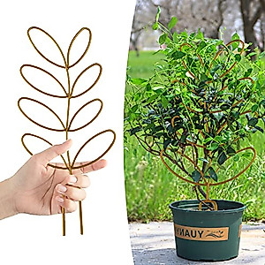 2Pcs Indoor Pot Plant Climbing Garden Trellis Gold Anti-Rust Metal Love Heart and Leaf Shaped Vines Climbing Support Bracket is a Creative Tool Gift for Gardening Lovers