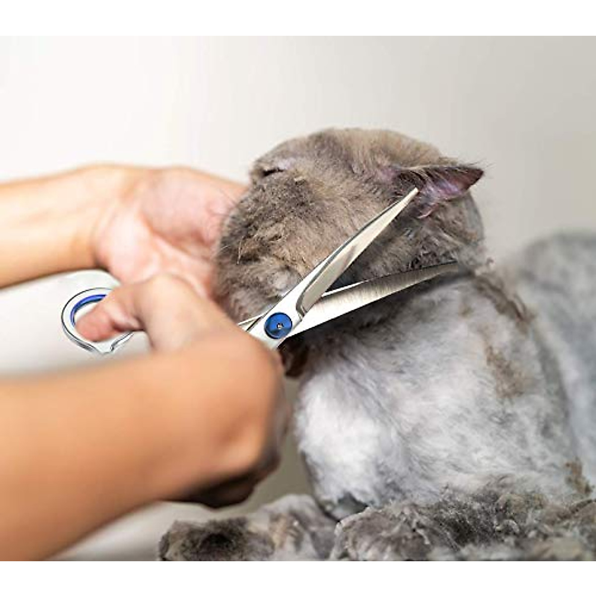 Petsvv 7.5" Curved Dog Grooming Scissors with Safety Round Tips, Light Weight Professional Pet Grooming Shears Stainless Steel for Dogs Cats Pets
