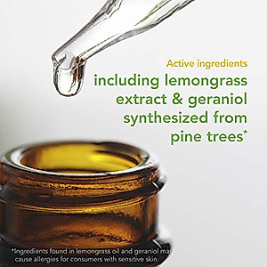 Raid Essentials Ant & Roach Killer Spray Bottle, Child & Pet Safe, Kills Insects Quickly, for Indoor Use, 12 oz