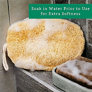 Natural Loofah Exfoliating Sponge (4 Pack) - Loofa Exfoliating Body Scrubber - Biodegradable Organic Loofah Sponge - Shower Luffa Sponges - Shower Lufa - Estropajos para el Cuerpo