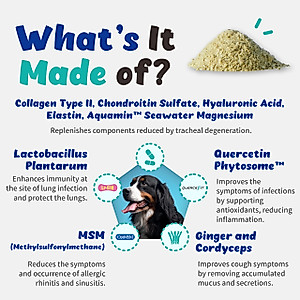 Branvine Respiratory Guardian for Dogs - Supports Lung Health, Nasal, Bronchial and Tracheal, Vegan Bacon Flavor (135g) with Quercefit® and Respiratory Probiotics