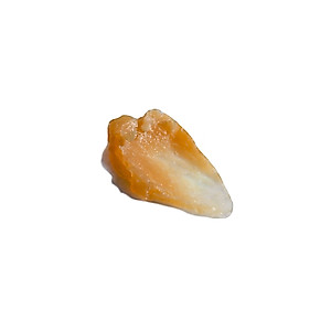 Suavecito Whiskey Bar Beard Balm