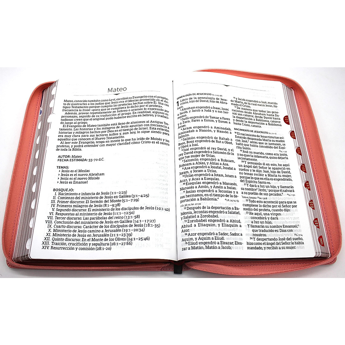 Biblia para Mujer Reina Valera 1960 Letra Super Gigante con Cierre y Indice en color Rosado con Estuche de Proteccion Edicion Especial en Español/ Super Giant Print RVR 1960 (Spanish Edition)