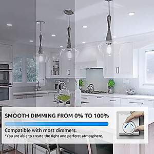 Lumiverse E26 led Bulb 60 watt dimmable Vintage LED Edison Bulbs 5.5W, 60W Equivalent,4000K Cool White, Antique Style ST19/ST58 LED Light Filament Bulbs, CRI 90+, E26 Base, 6 Packs