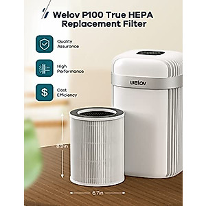 WELOV P100 / P100 Pro Air Purifier Replacement Filter, 3-in-1 H13 True HEPA and High-Efficiency Activated Carbon Filter for Pet Dander Hair Pollen Dust Mite Smoke Kitchen Odor