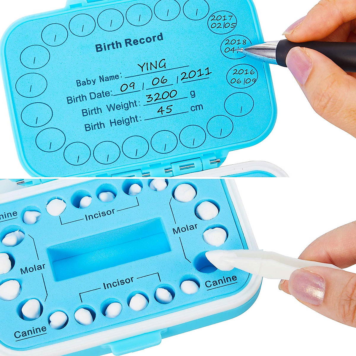 Jetec 2 Pieces Baby Teeth Keepsake Box PP Tooth Fairy Box Kids Tooth Storage Holder Organizer for Lost Teeth Cute Kids Deciduous Collection to Keep the Childhood Memory(Blue and Pink)