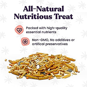 Forager's Feed Black Soldier Fly Larvae Cake, Sustainable Treat for Chicken Health, 4 Oz. Individually Wrapped Treats