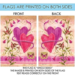 Toland Home Garden 1110275 Love Birds Garden Flag, 12.5" x 18", Double Sided for Outdoor Valentines Day House Yard Decoration