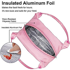 DiiCCi Pink Lunch Box Bag for Women,Double Deck Insulated Lunch Bags for Adult,Small Cute Lunch Bag Tote Bag for Work,Reusable Leakproof Lunch Cooler Bag for Travel Office Picnic Hiking