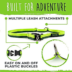 Mighty Paw Hands Free Bungee Leash 2.0 | 4’ Dog Lead W/Dual Padded Traffic Handles for Running, Hiking & Jogging. Wearable Belt (27-48” Waistband) W/ 2 Attachment Loops. Pets Up to 150lb (Green)