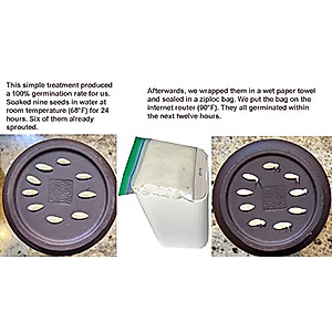 For 2024!Cucumber Seeds for Planting Vegetables and Fruits-Asian Suyo Long Cucumber Plant Seeds,Burpless Non GMO Garden Seeds Vegetable Seeds,Chinese Cucumber Seeds-11ct Veggie Seeds China Long Hybrid