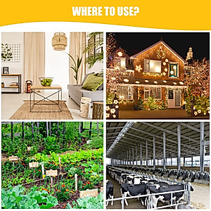 Bucket Lid Mouse Rat Trap, Mouse Catching Tool, Trap Door Style, Multi Catch, Auto Reset, Indoor Outdoor, 5 Gallon Bucket Compatible