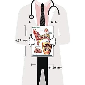 Ear Nose and Throat Support Card