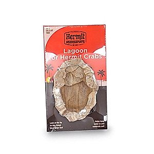 Fluker's Lagoon for Hermit Crabs, Water Bowl with Steps