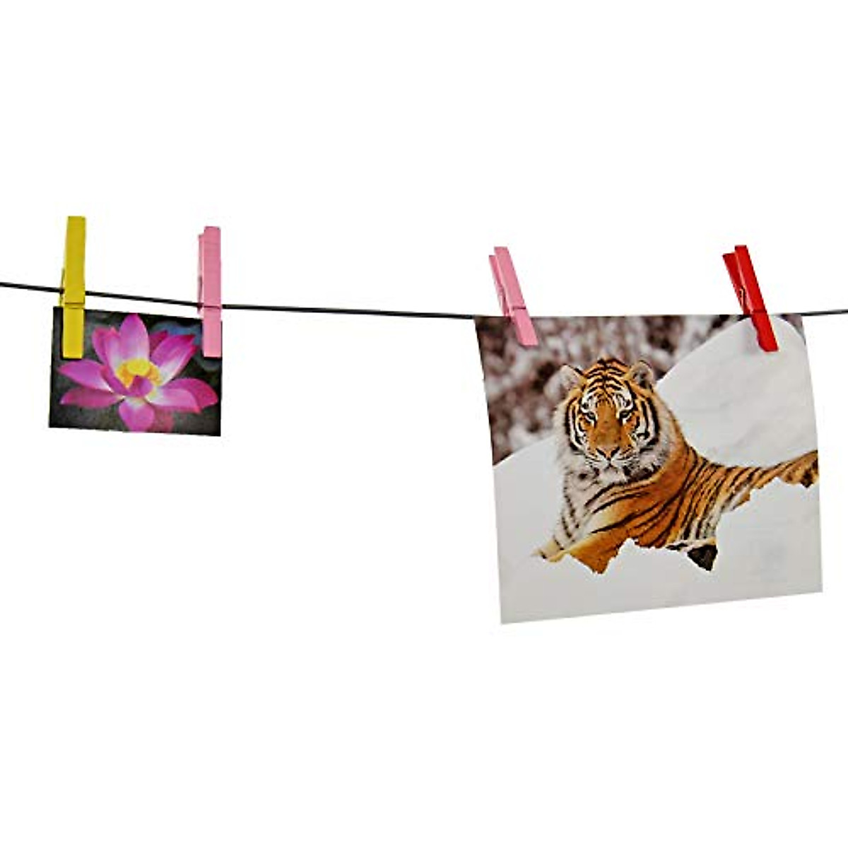 Home-X Set Large Colorful Heavy-Duty Wooden Clothespins Set of 24-8 Colors-3”L